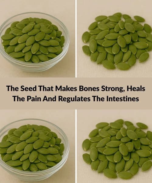 The Seed That Makes Bones Strong, Heals The Pain And Regulates The ...