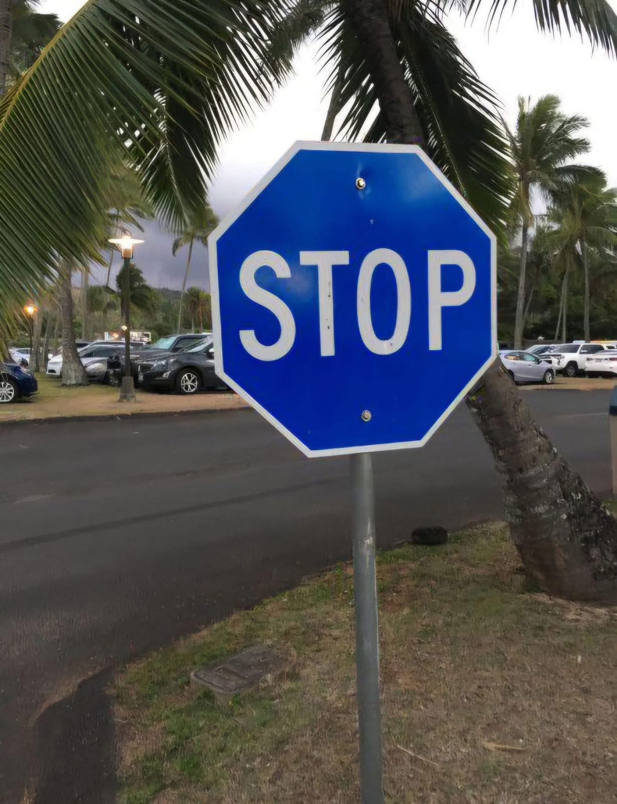 What Does a Blue Stop Sign Mean? - Welcome