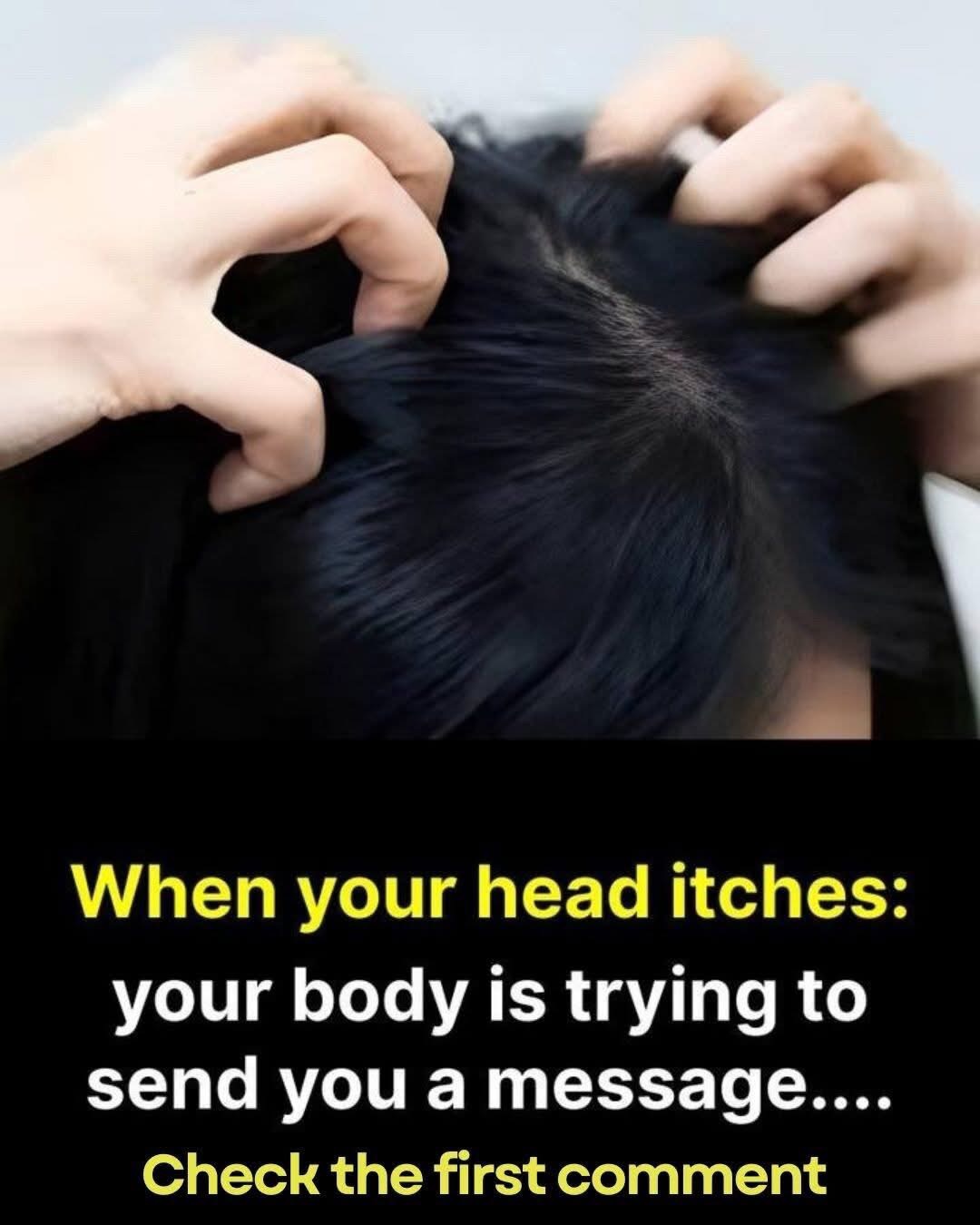 Itchy Scalp? Here Are the Most Common Causes - Welcome