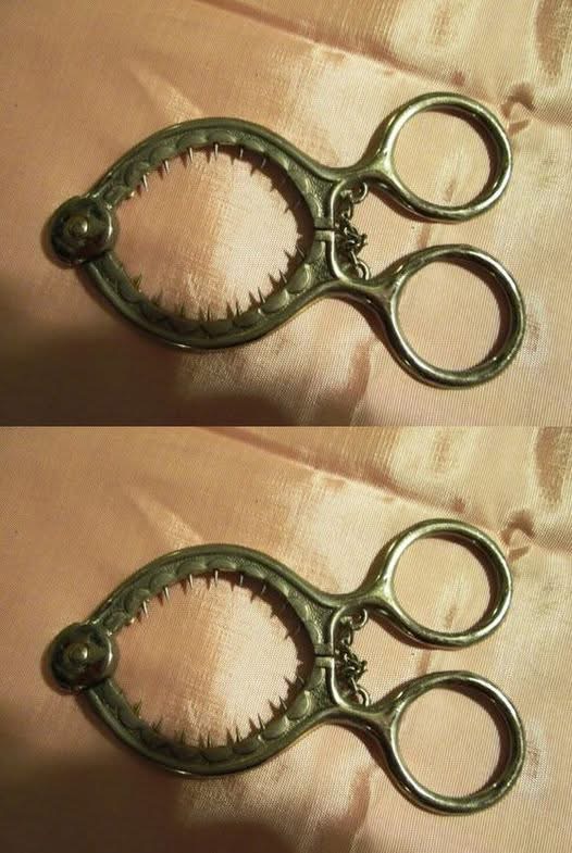 How to Use This Strange-Looking Kitchen Tool — Explained Simply - Welcome